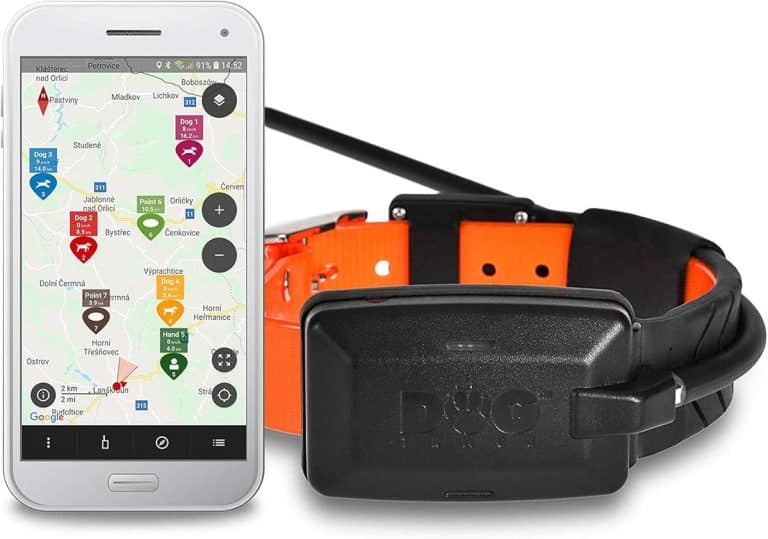 Test du collier GPS + beeper DOGtrace X30