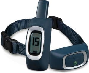 Test : collier de dressage PetSafe à distance, portée 900 m