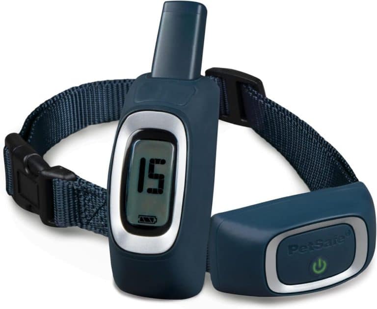 Test : collier de dressage PetSafe à distance, portée 900 m